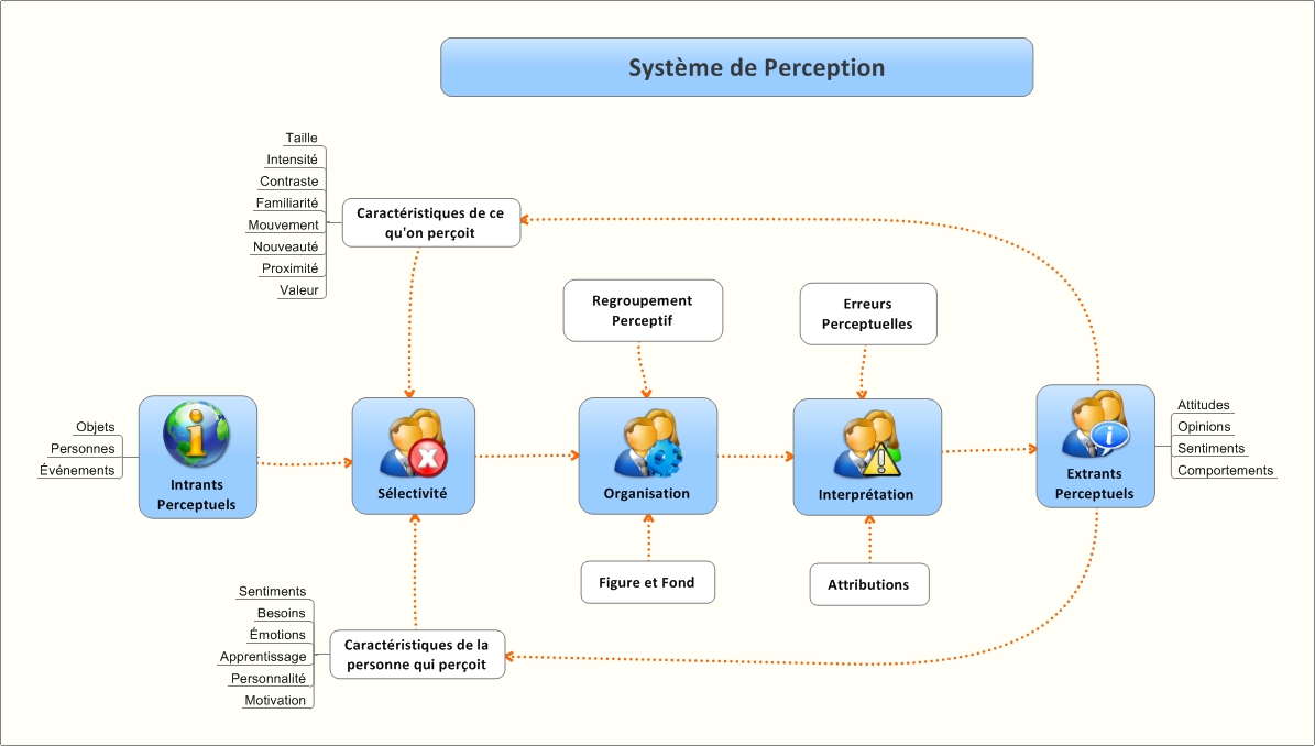 Le système de perception